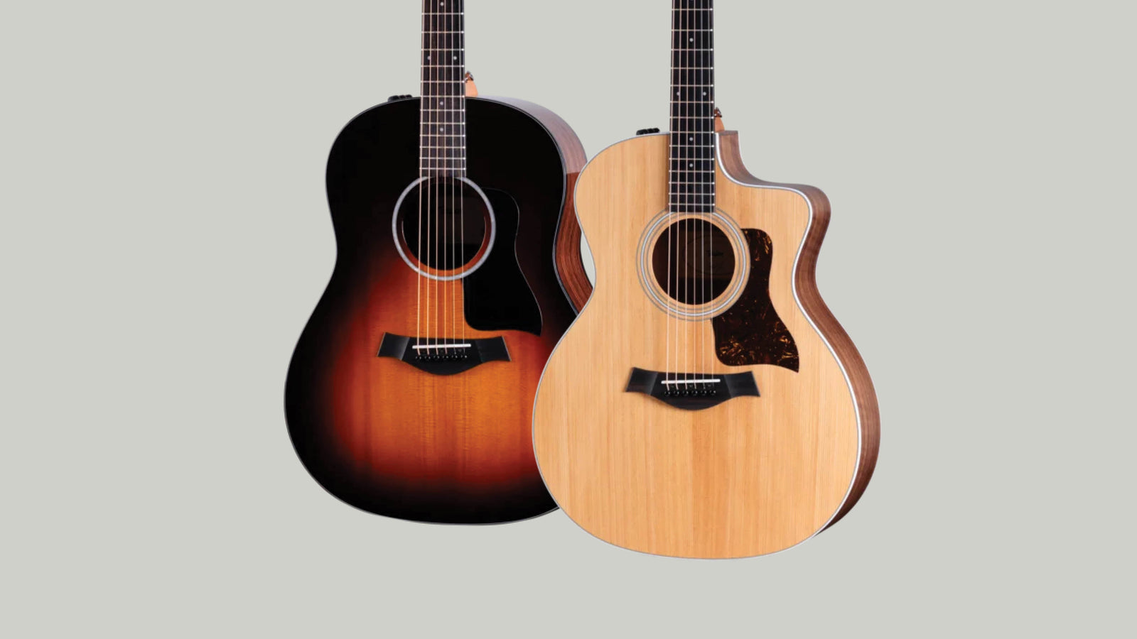 Buy Taylor 200 Series Online & In-Store in Perth, Australia | Mega Music